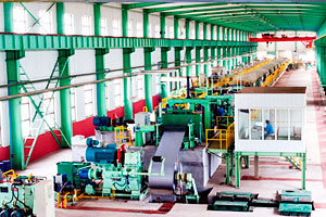 Shandong Lingying Steel Group Co., Ltd.
